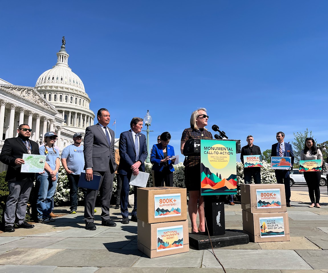 Budzinski Continues Call on President Biden to Make Springfield Race ...