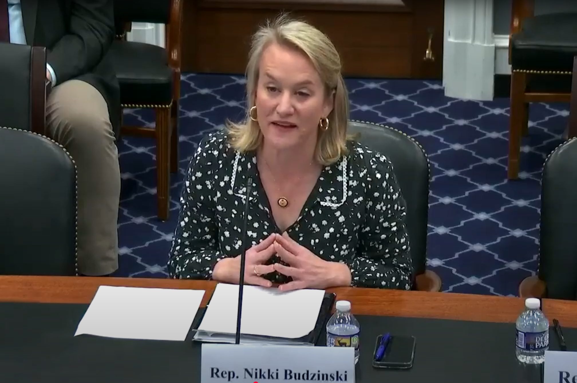 Budzinski Testifies on Danger of USPS Privatization