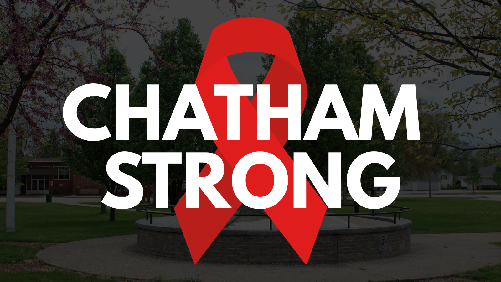 Budzinski Statement on Car Crash in Chatham