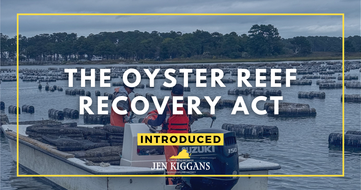 Kiggans Boosts Oyster Reef Preservation Through Bipartisan Legislation