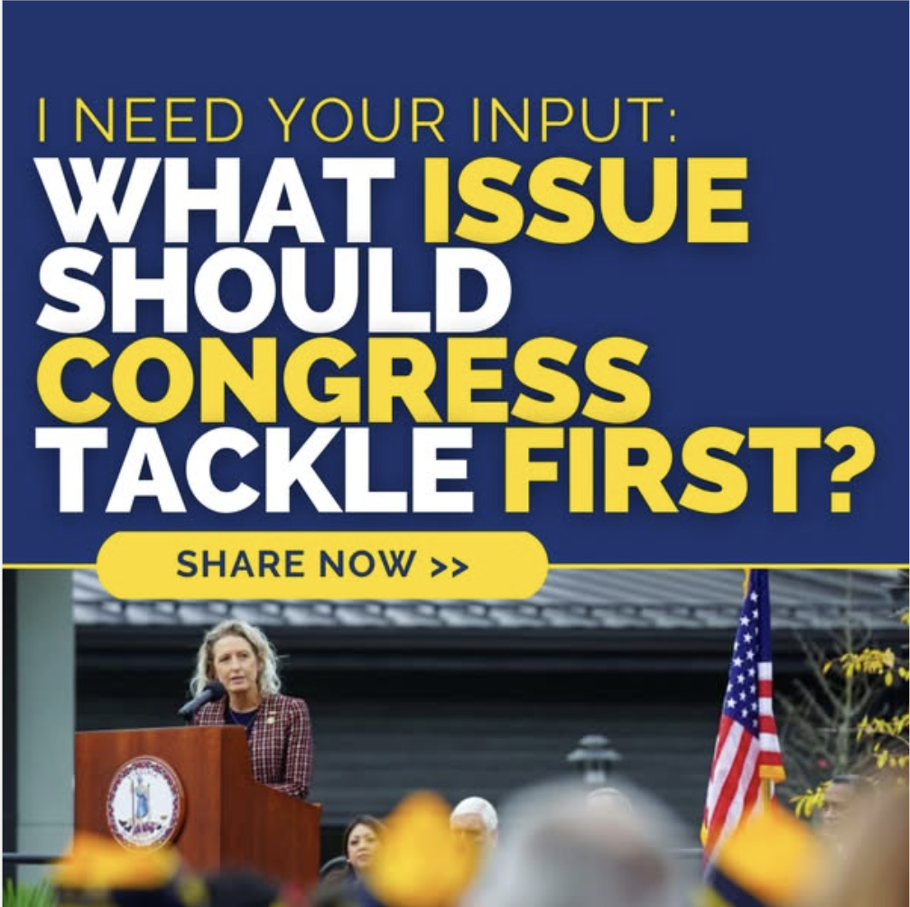 2025 Issues Survey