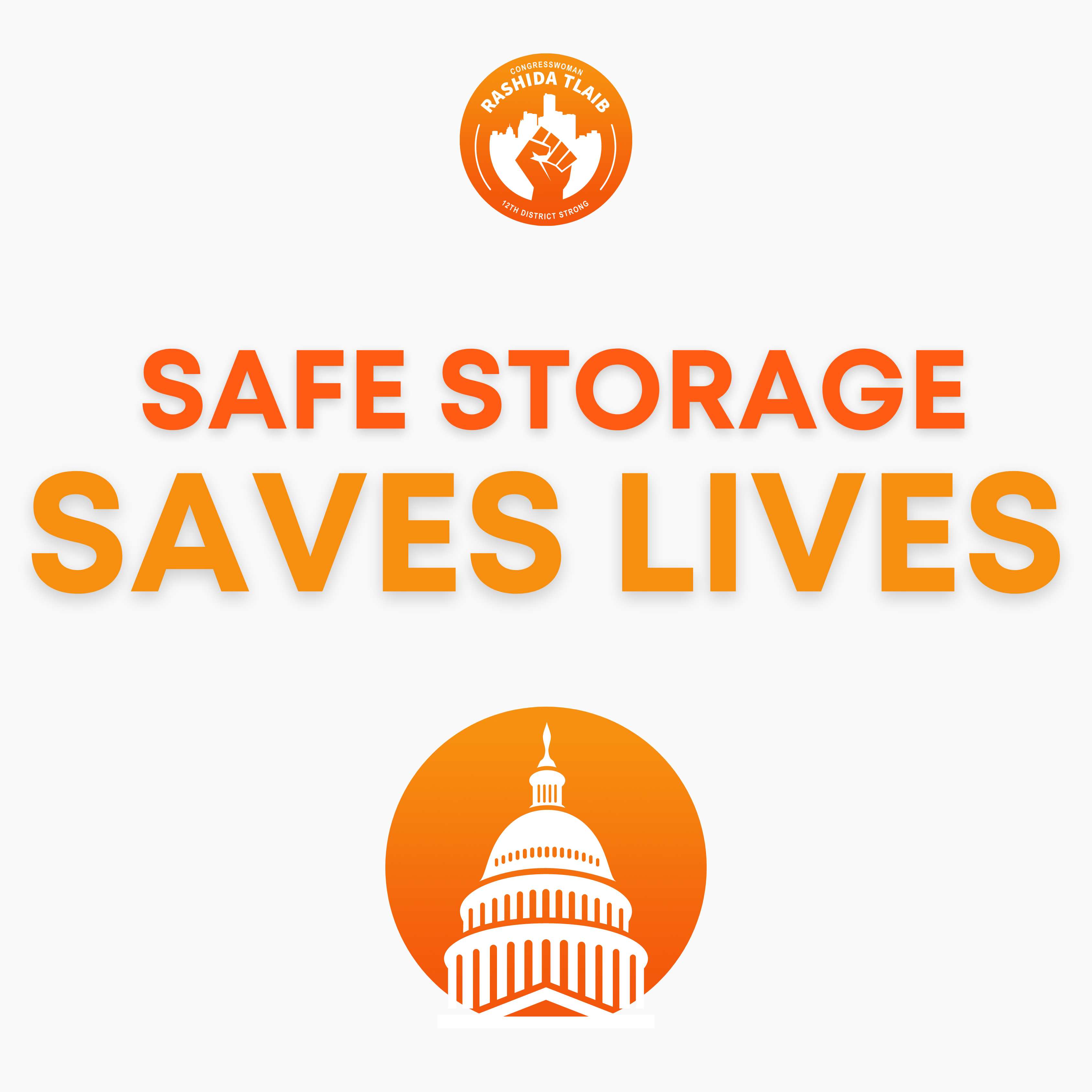 Tlaib Introduces Safe Storage Saves Lives Act to Reduce Firearm Deaths ...